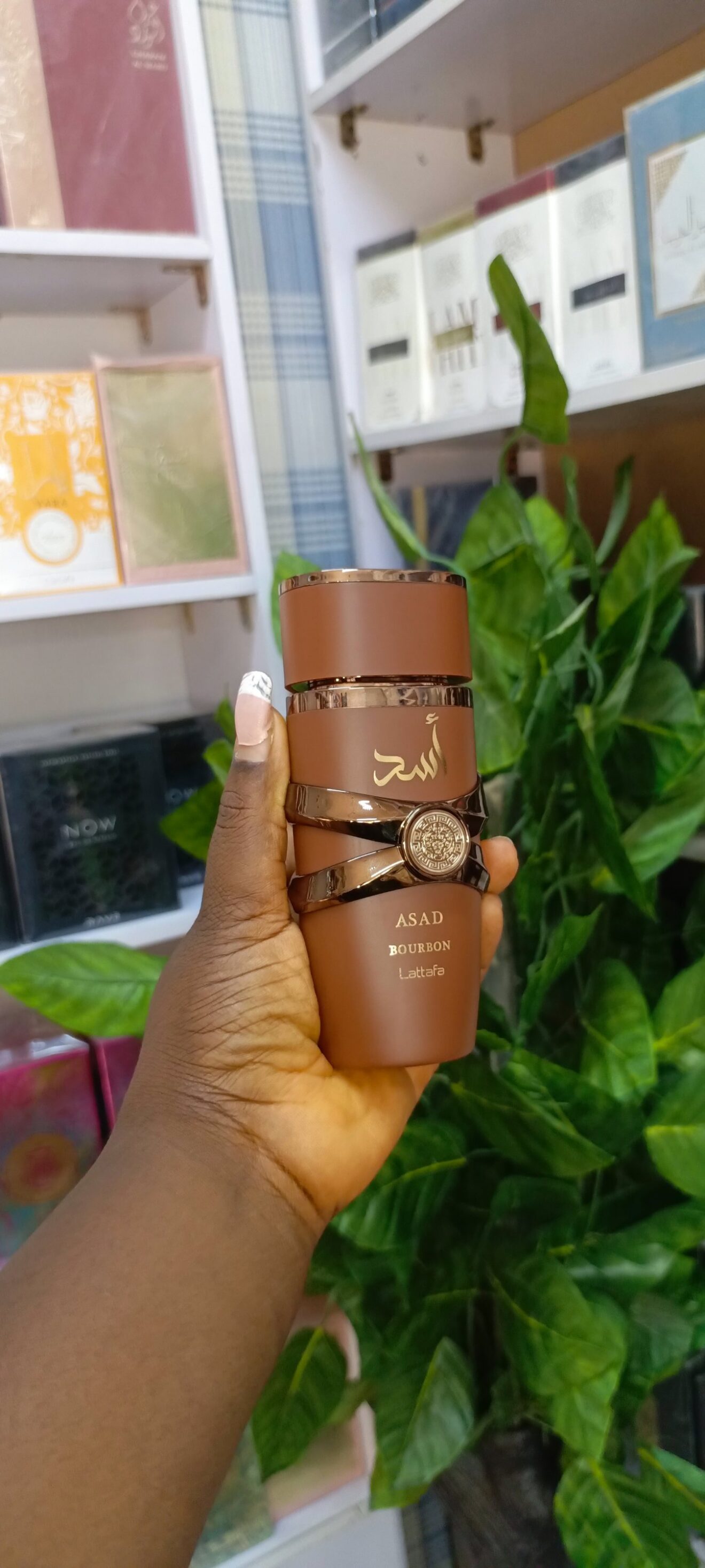 Asad bourbon 100ml lattafa perfumes - Amys Perfumes - Wholesales and ...